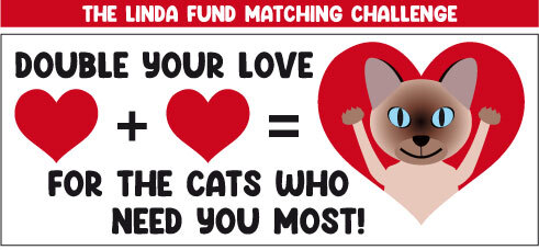 What is the Linda Fund? – Tabby's Place