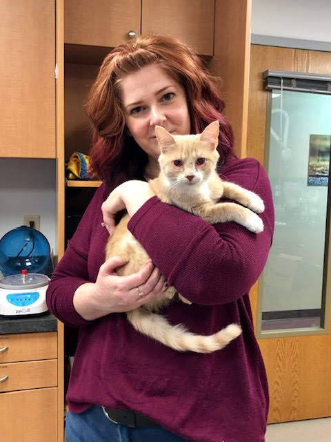 Tara Talk guest post: Be like me – Tabby's Place